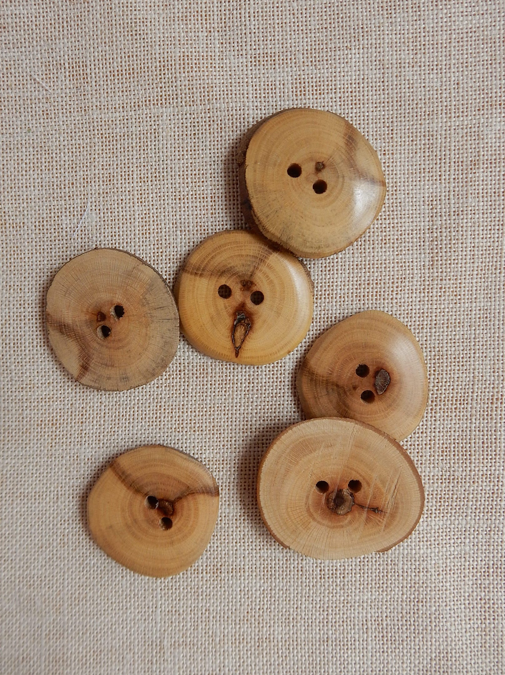 Witness Tree Button - Large – The French Needle